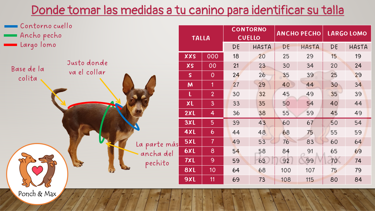 Ponch and Max – Ponch and Max